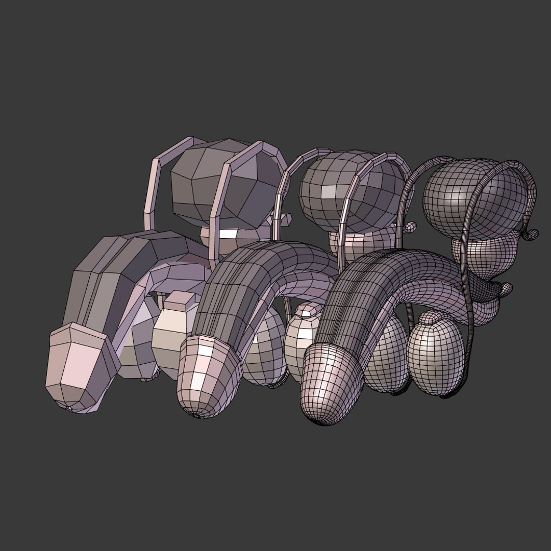 3d Male Reproductive Model