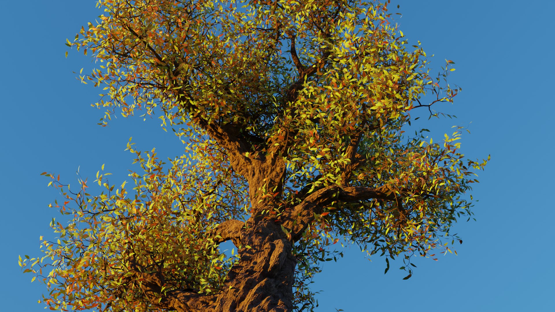 3D Thick Tree - TurboSquid 1923083