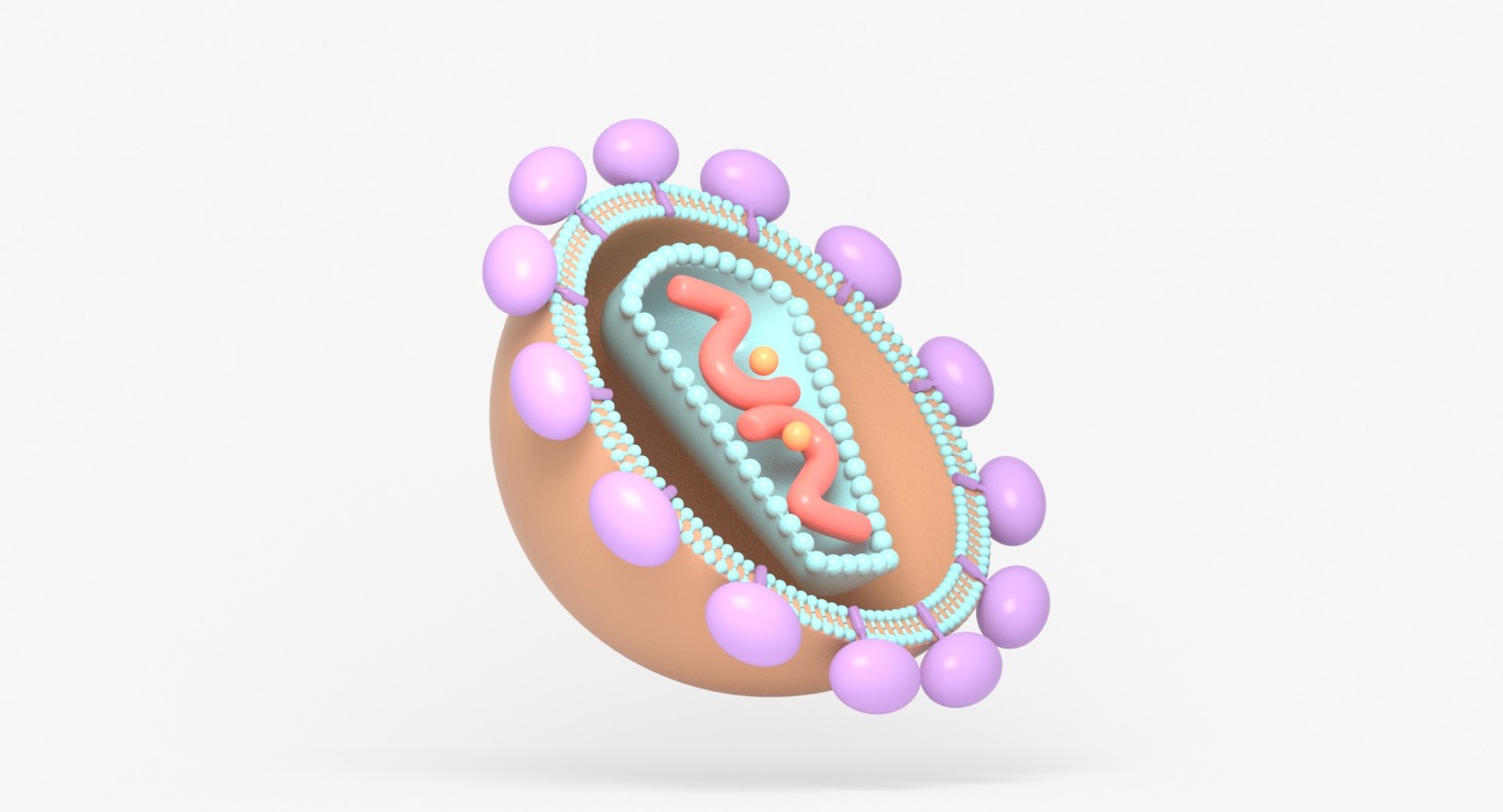 Retrovirus core lipid 3D - TurboSquid 1356815