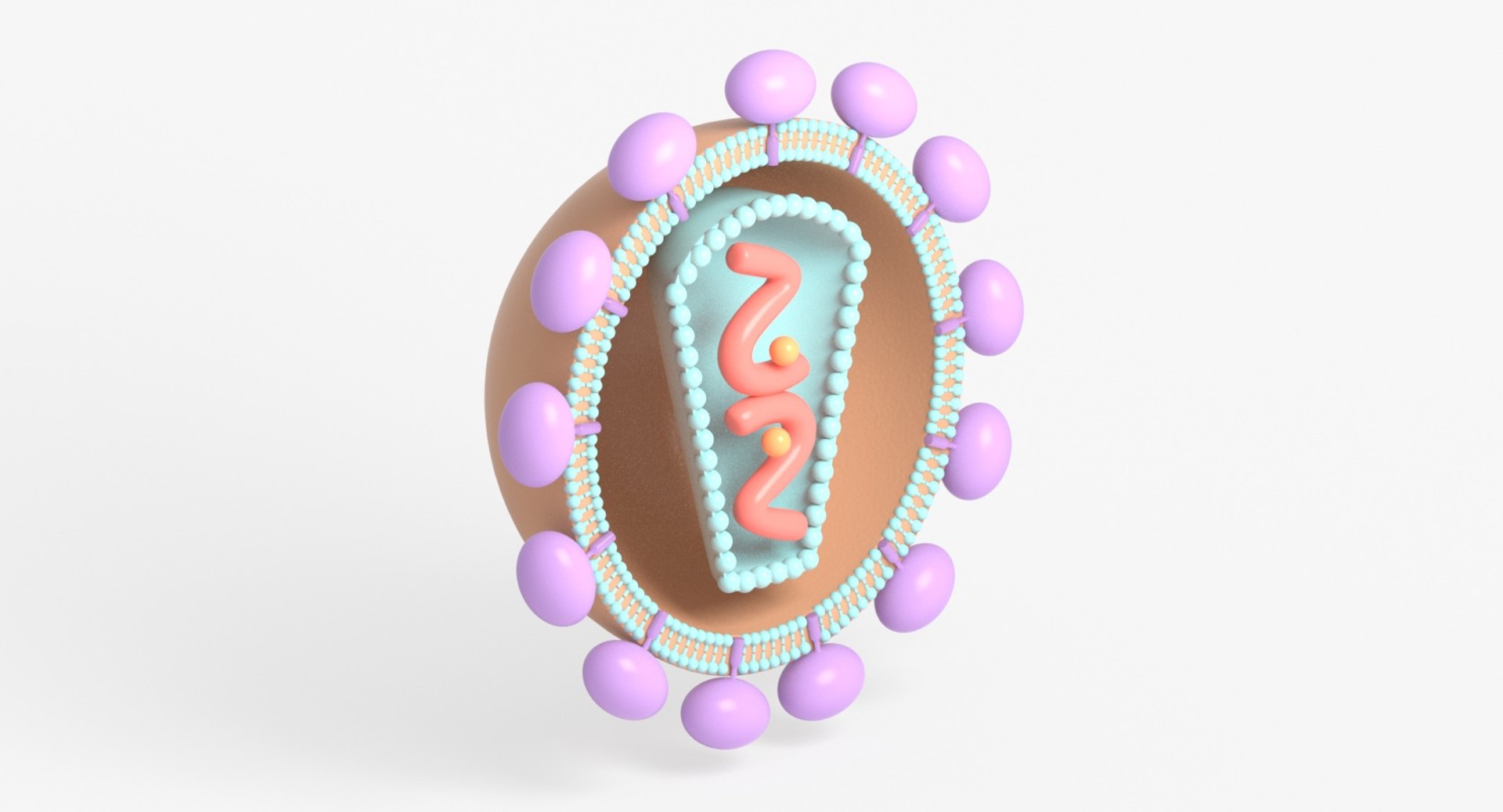 Retrovirus core lipid 3D - TurboSquid 1356815