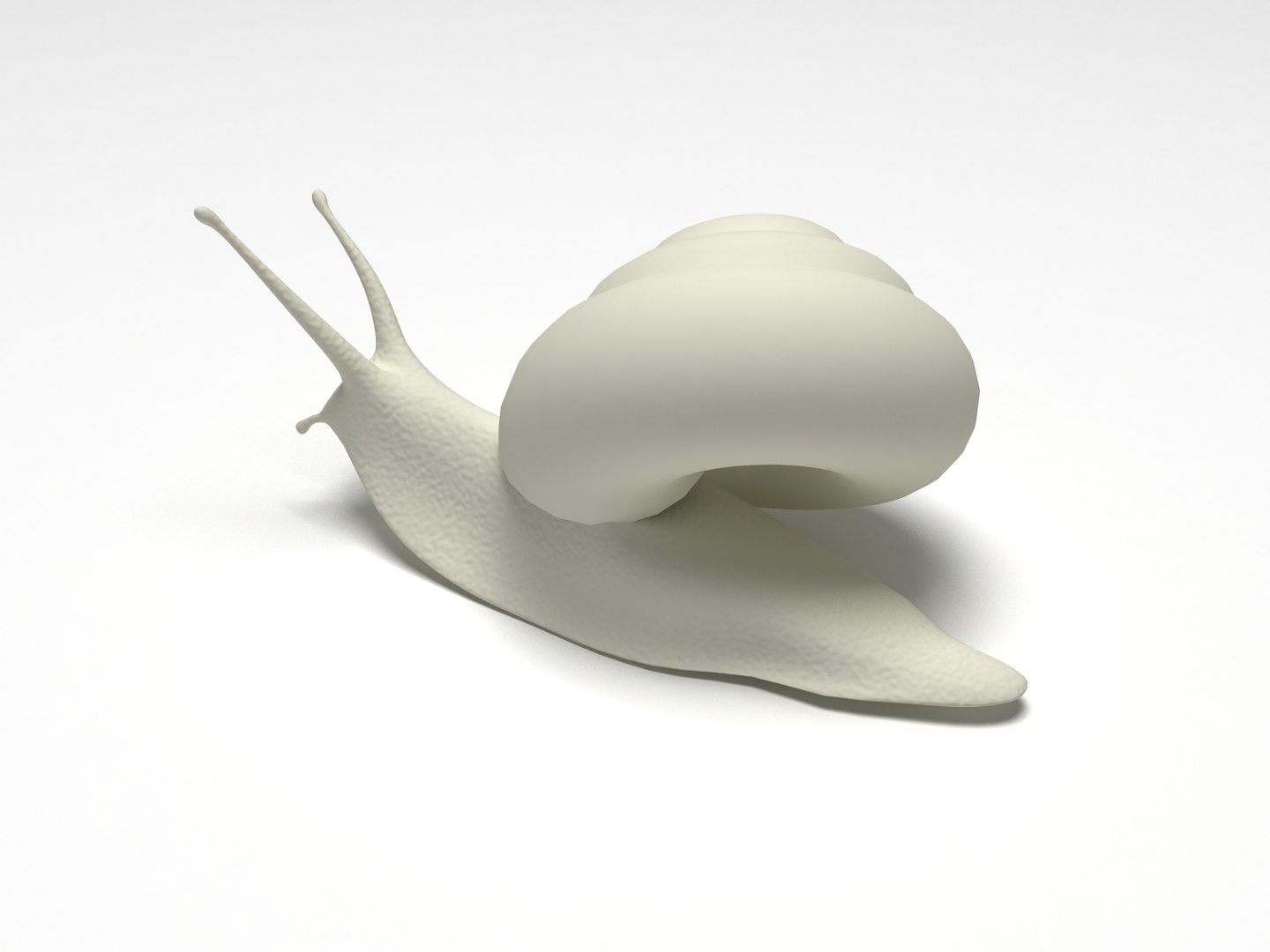 3d Snail Model