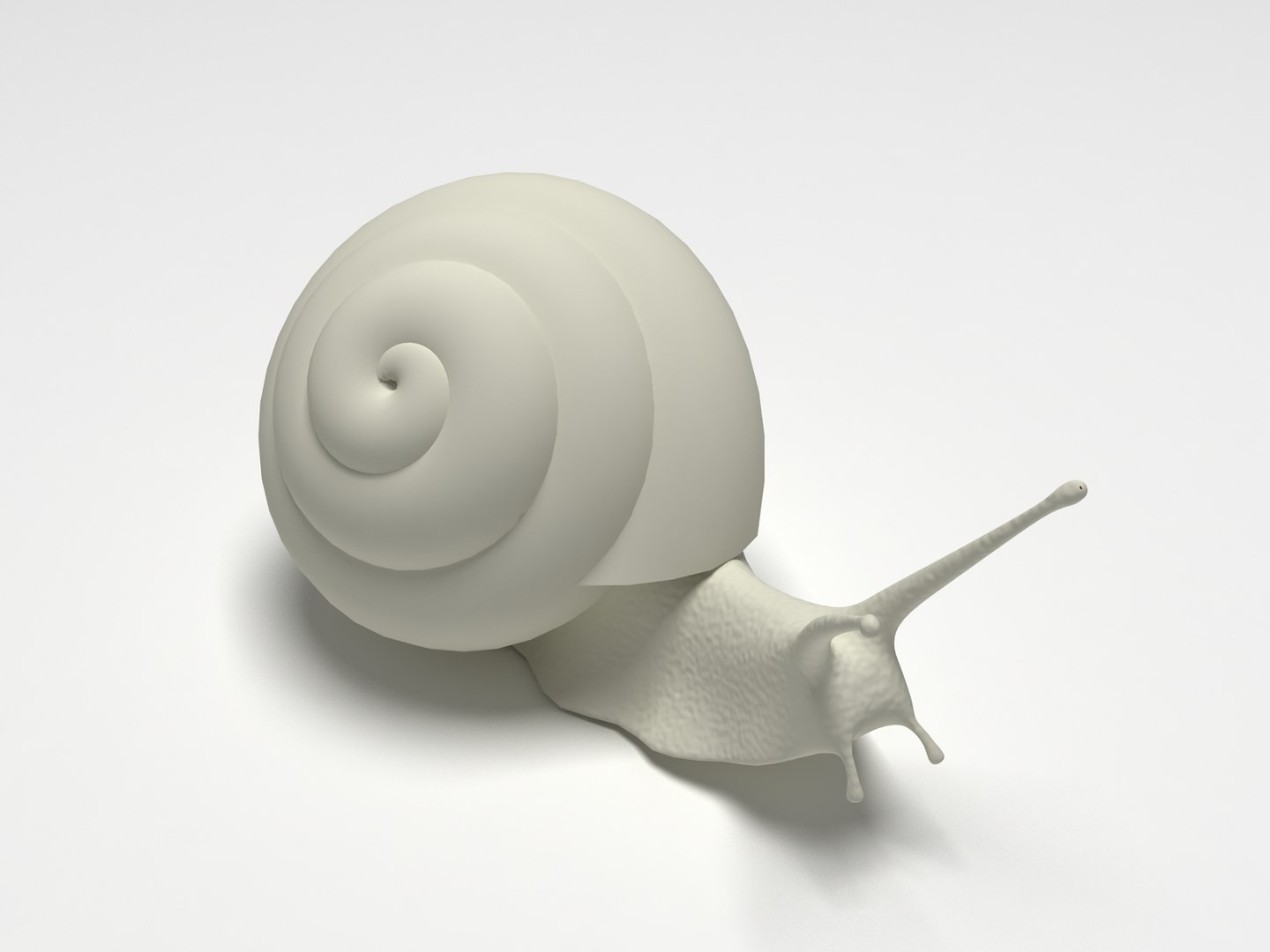 3d Snail Model