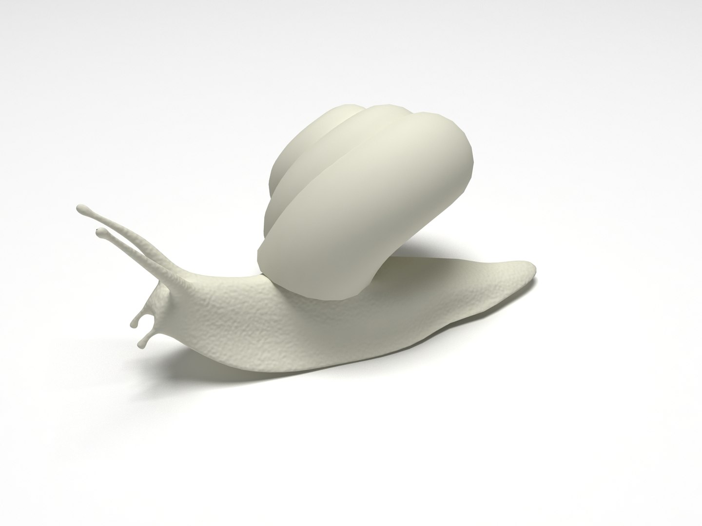 3d Snail Model