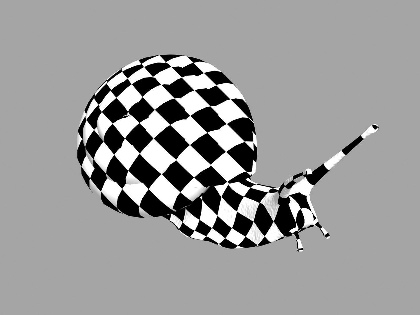 3d Snail Model