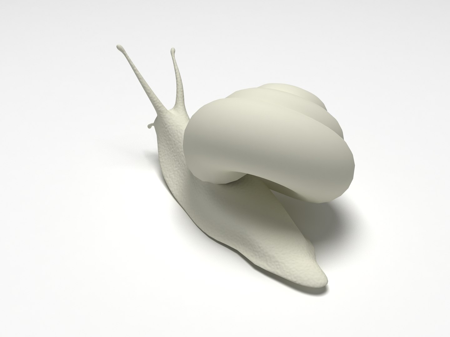 3d Snail Model