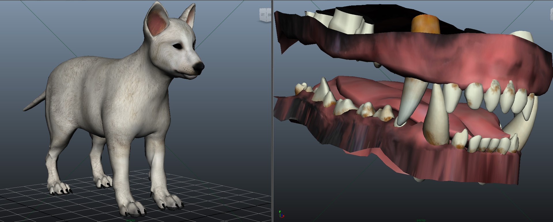 3D Model Wolf Baby - TurboSquid 1167958