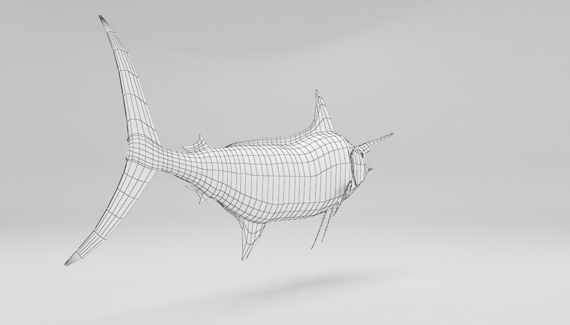 Black Marlin Fish 3D Model - TurboSquid 1279365