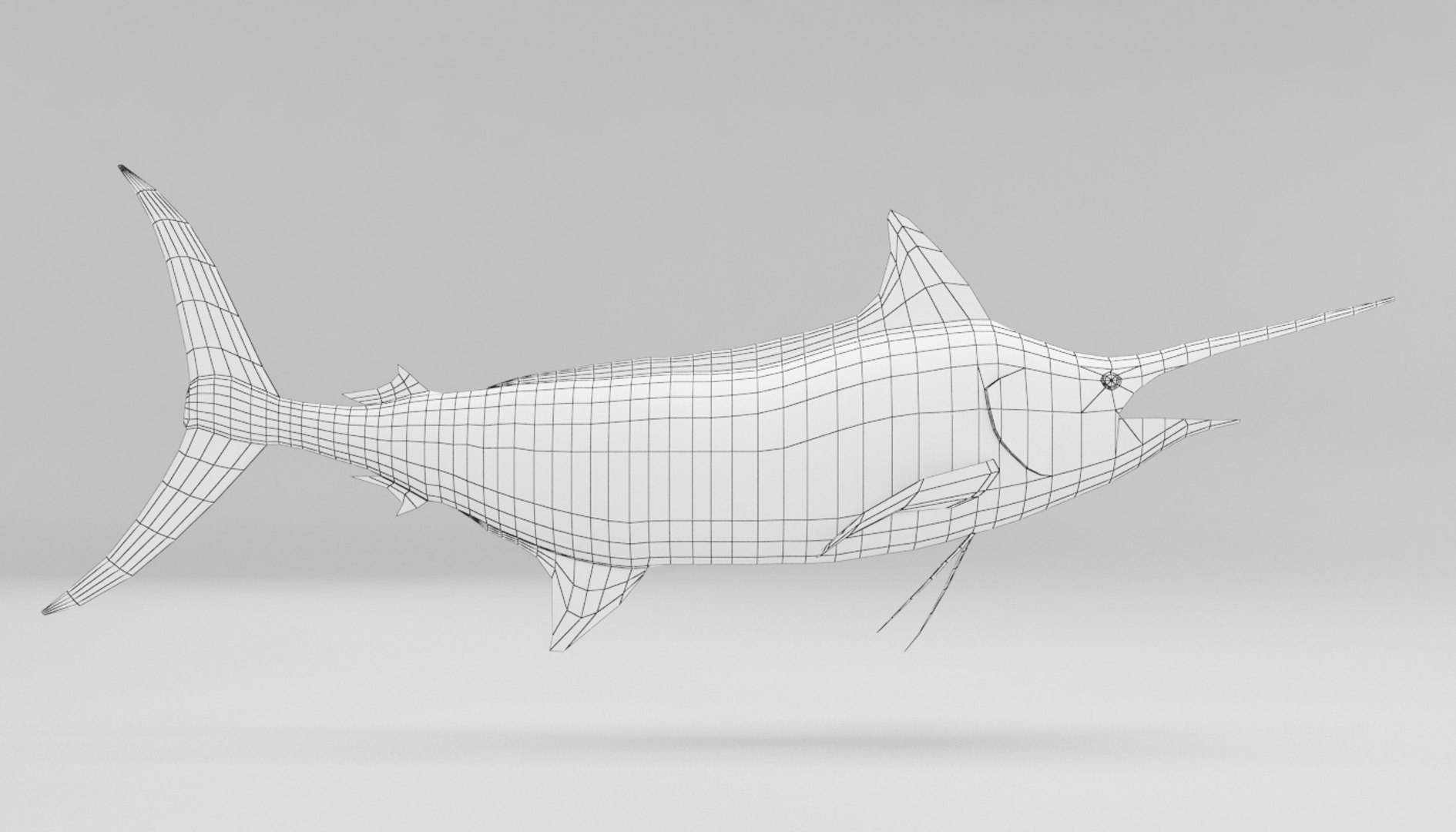 Black Marlin Fish 3D Model - TurboSquid 1279365