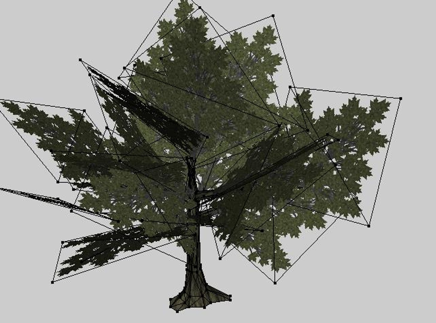 Free 3ds Mode Tree Maple