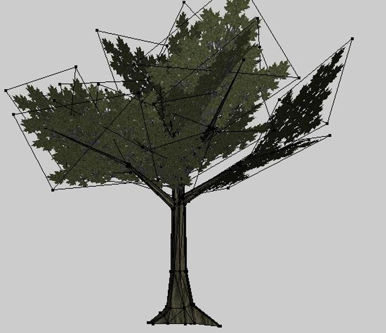 Free 3ds Mode Tree Maple