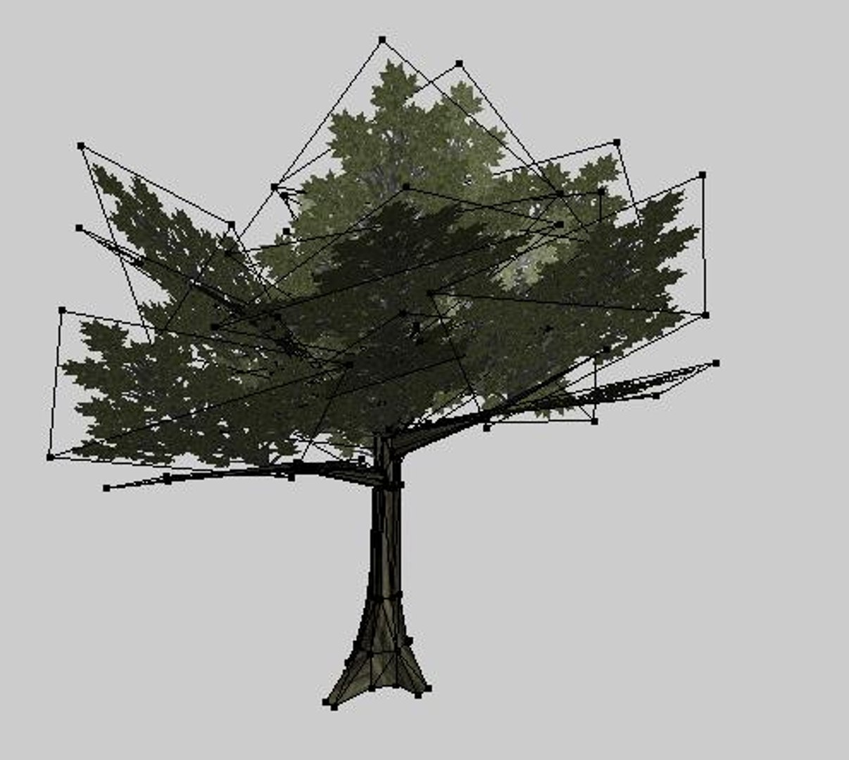 Free 3ds Mode Tree Maple