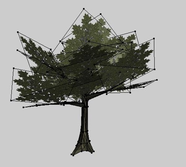 Free 3D Roots Models | TurboSquid