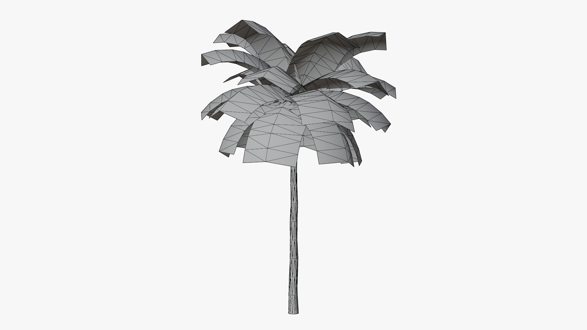 Free 3D Tropic Palm Tree Model - TurboSquid 2090490