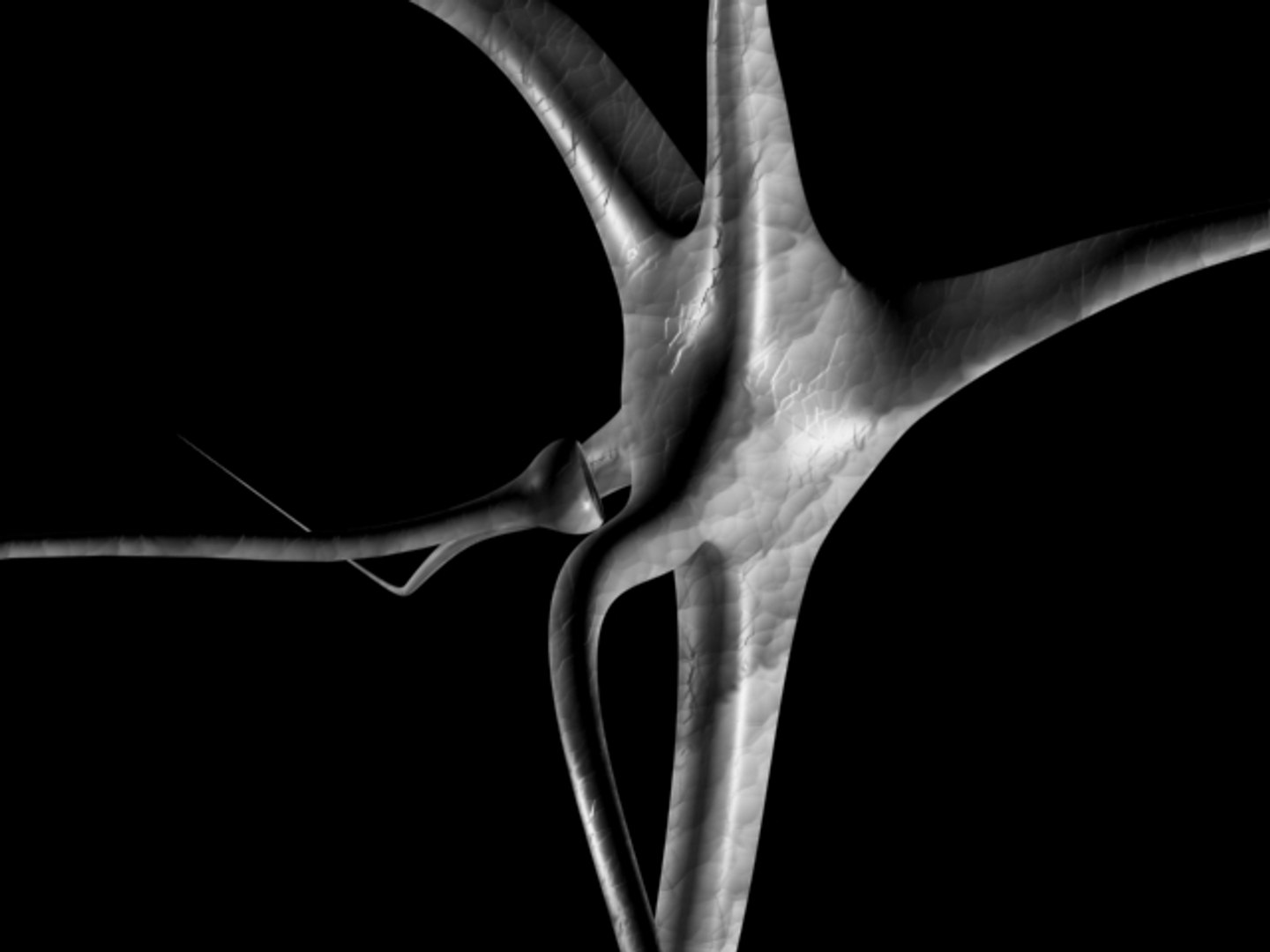 Ganglia Nerve Neuron Cell 3d Model