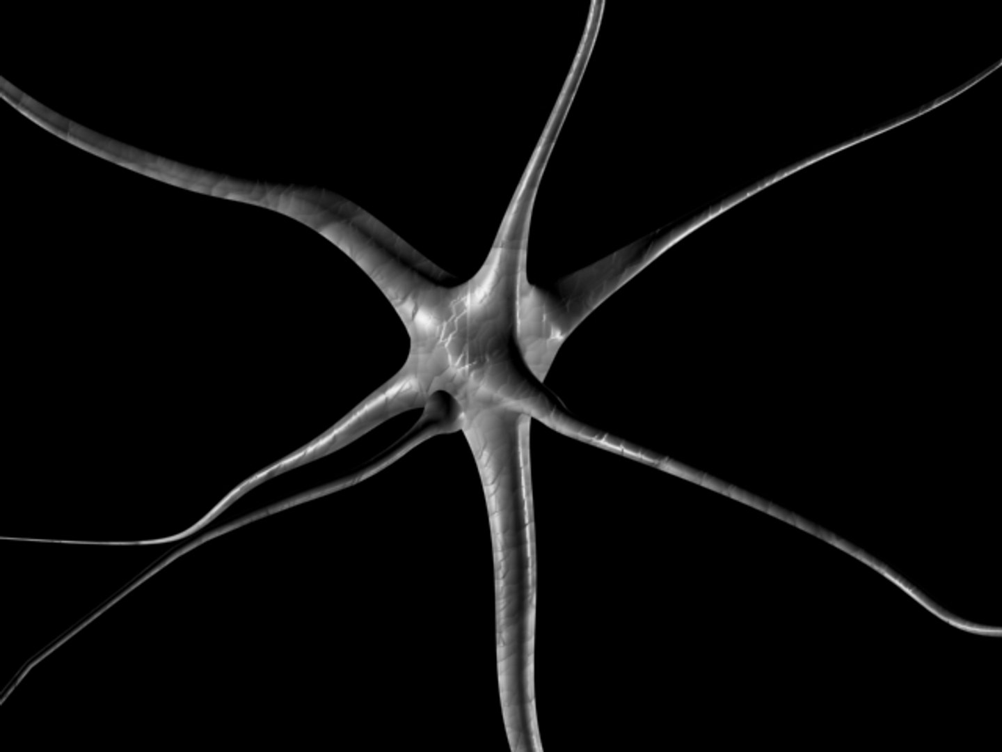 Ganglia Nerve Neuron Cell 3d Model