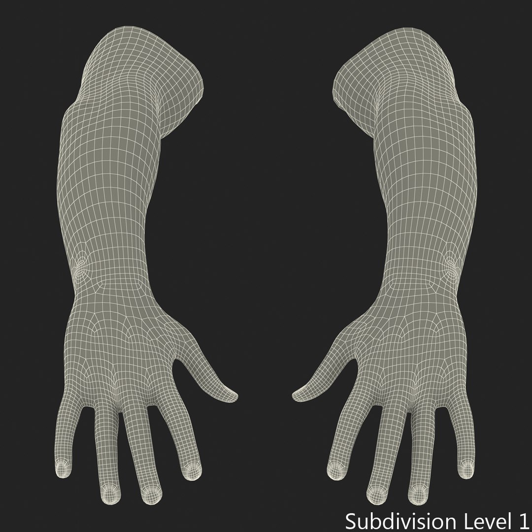 3d man hands model