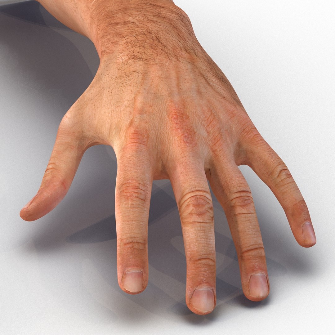 3d Man Hands Model