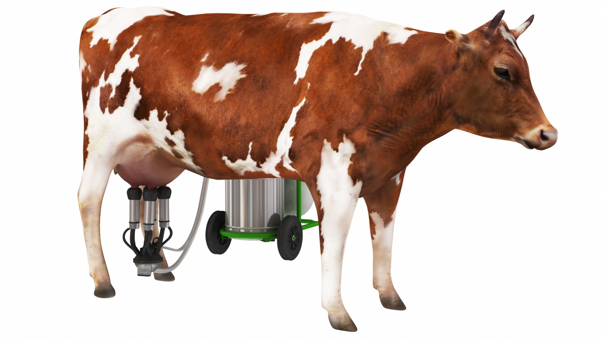 Portable Milking Machine With Cow Collection 3D - TurboSquid 2111768