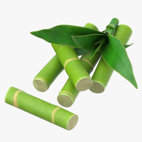 Free 3D Bamboo Models | TurboSquid