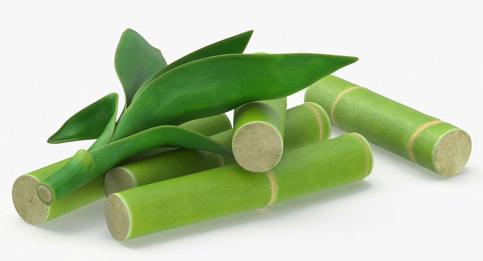 3D Prop 29 Bamboo Sticks - TurboSquid 2148065