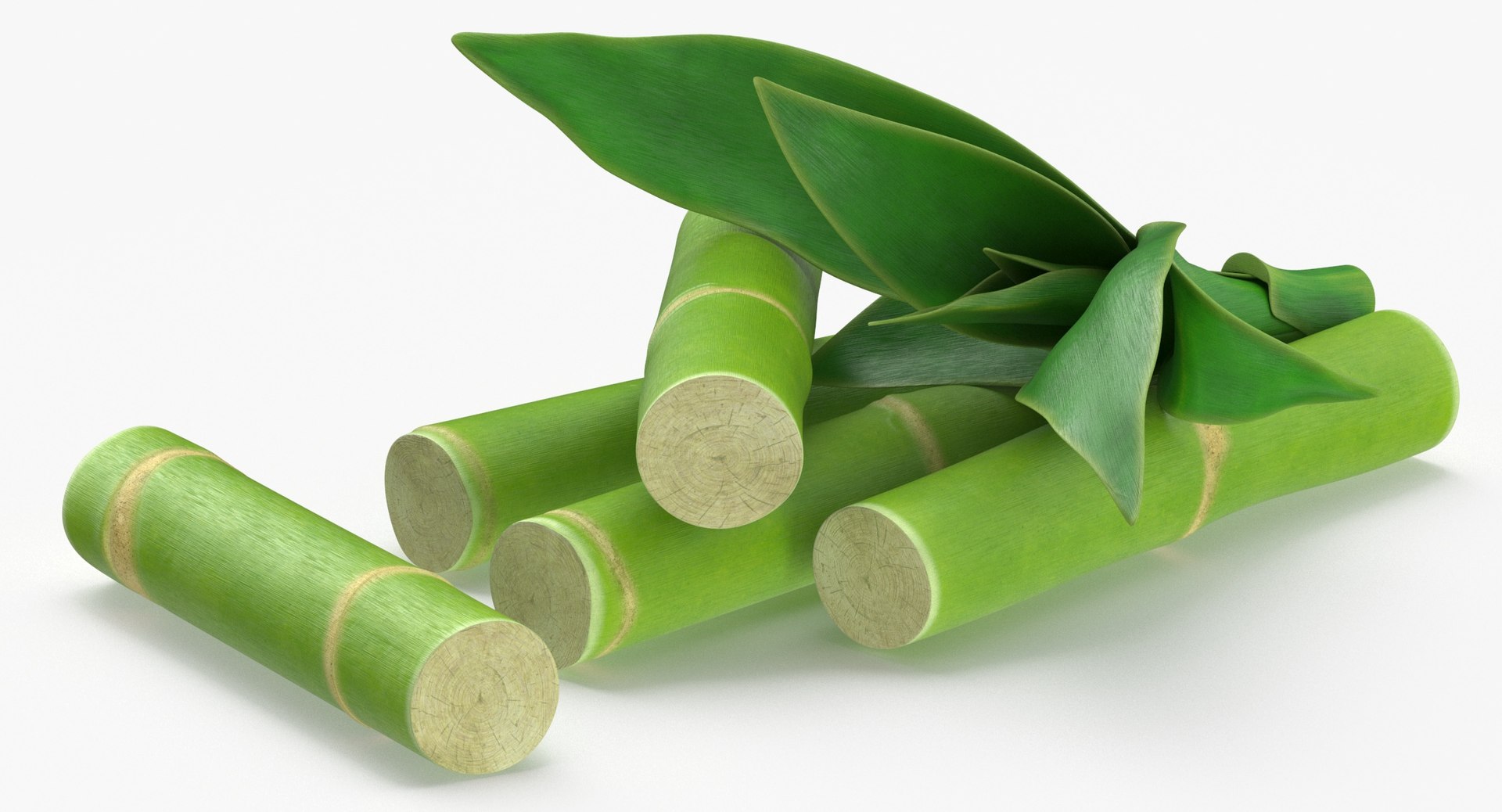 3D Prop 29 Bamboo Sticks - TurboSquid 2148065