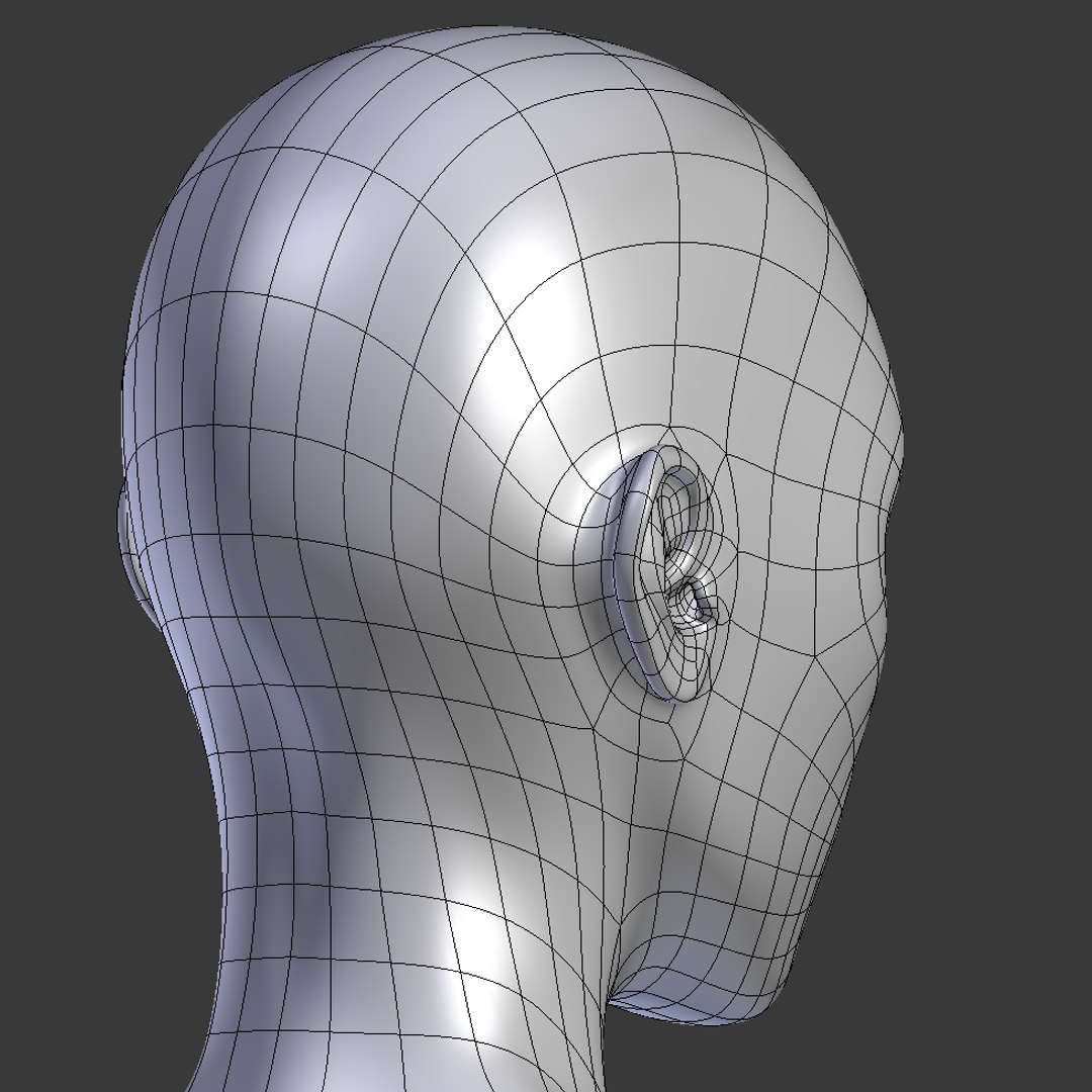 Face Topology Mesh Base Model - TurboSquid 1341404