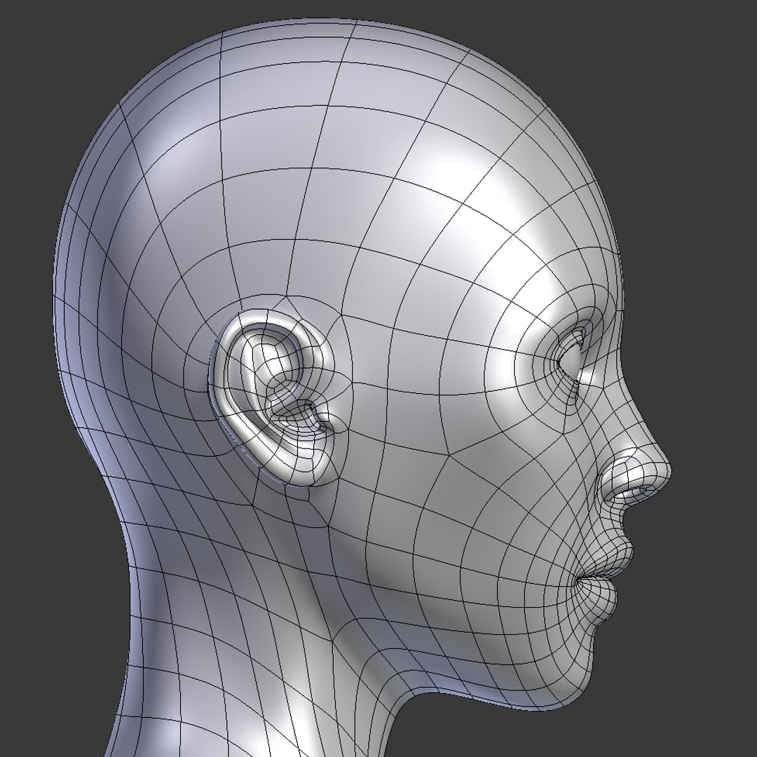 Face Topology Mesh Base Model - TurboSquid 1341404