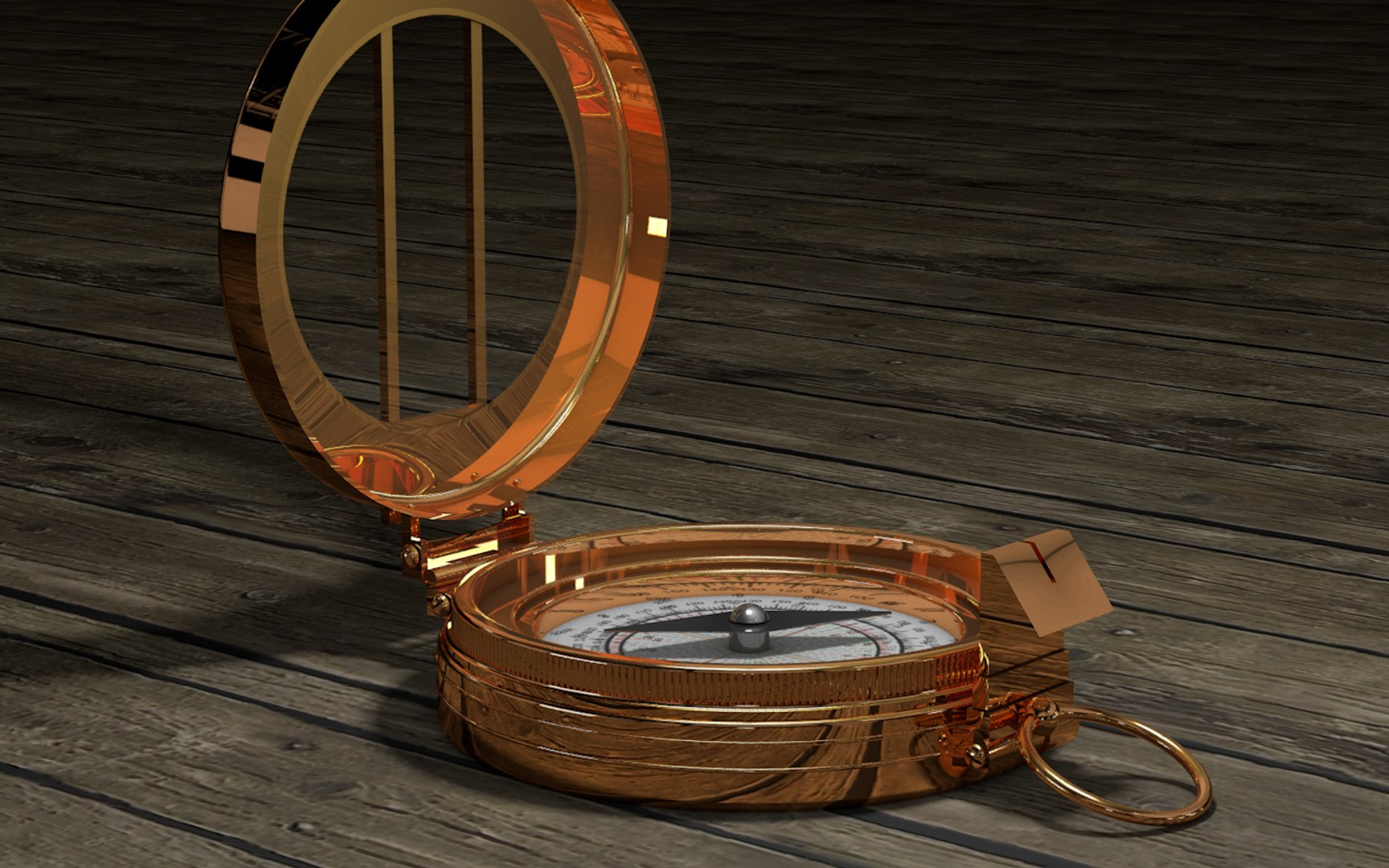 3d compass model