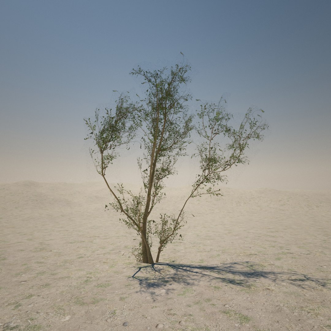 desert tree 3d max