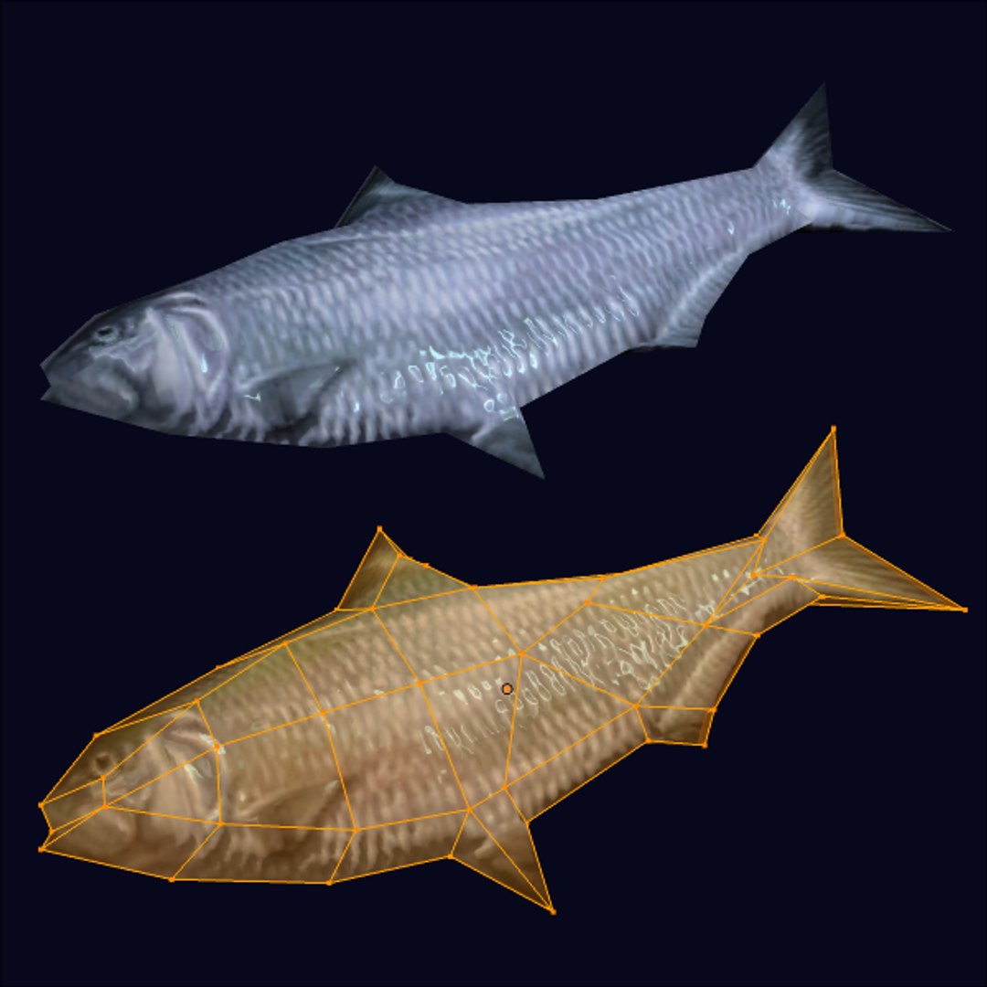 3ds Max Fish