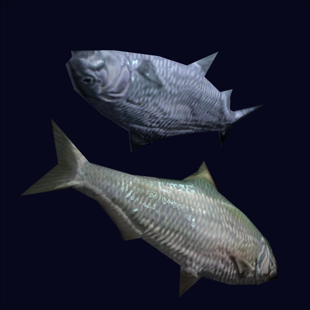 3ds Max Fish