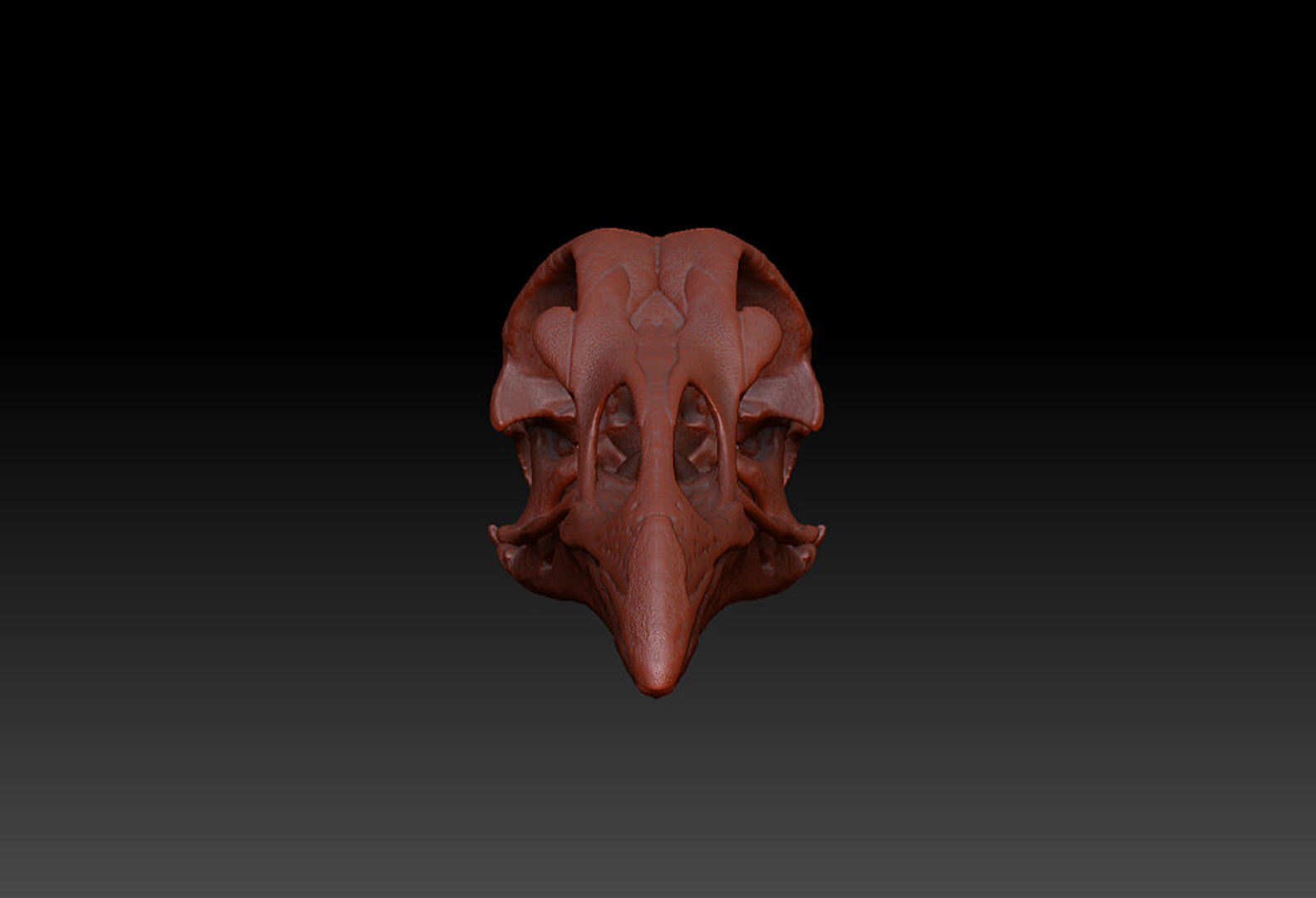 Obj Skull Chicken Gallus Domesticus