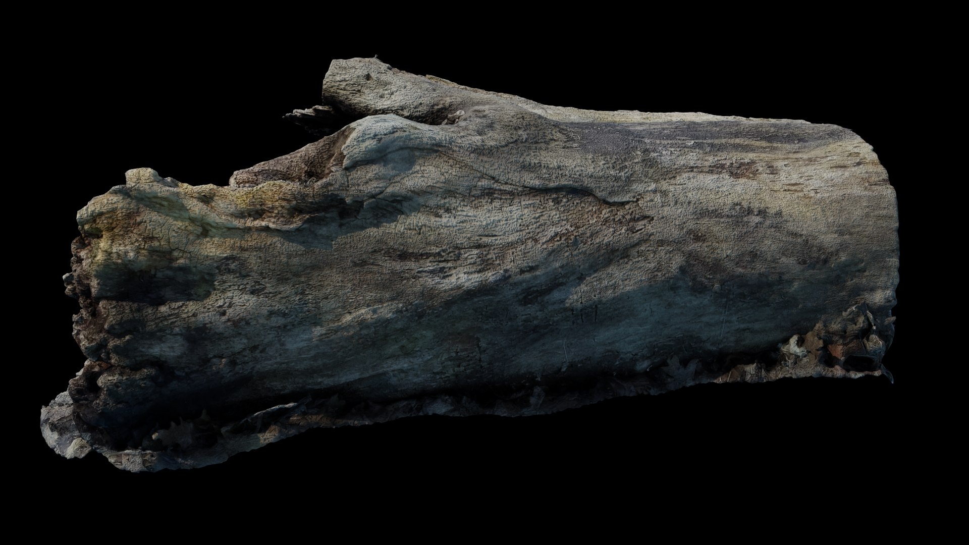 Fallen Rotting Log 3D - TurboSquid 1963597