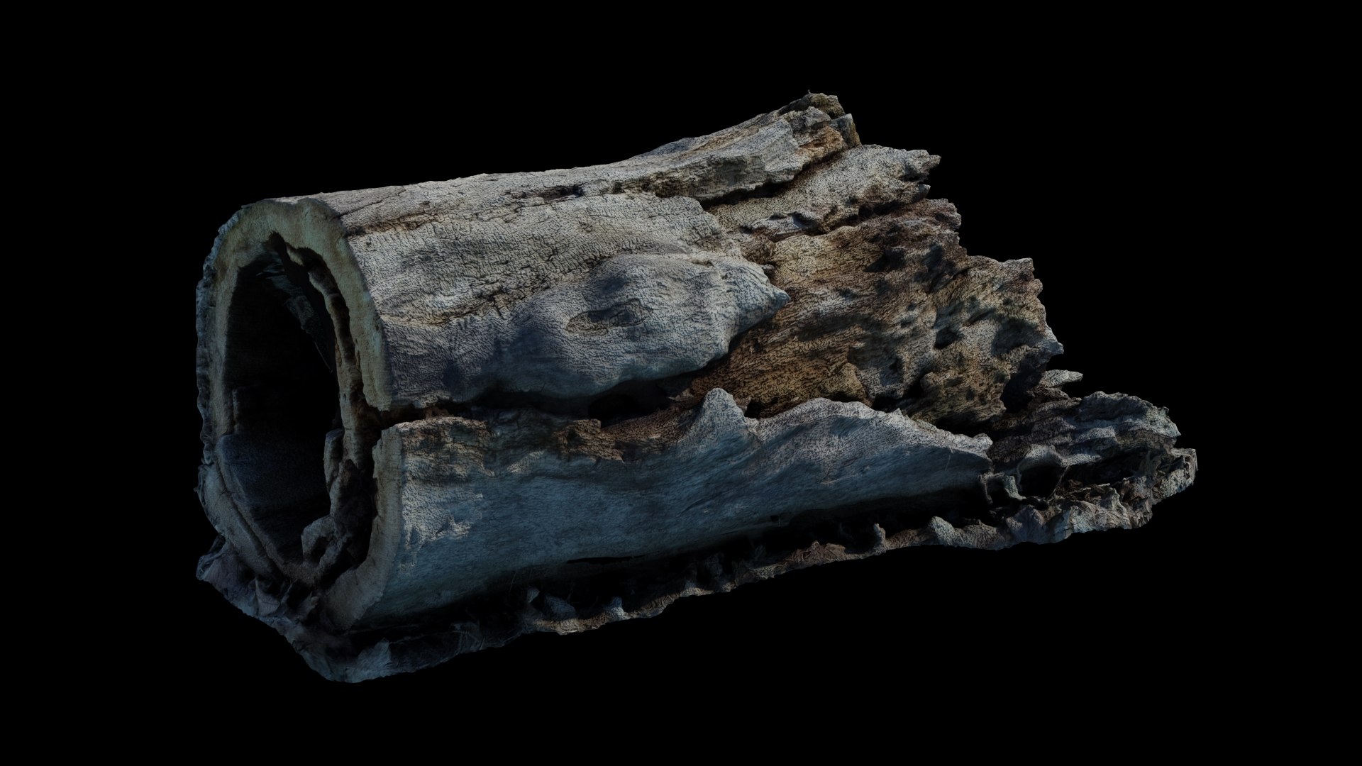 Fallen Rotting Log 3D - TurboSquid 1963597