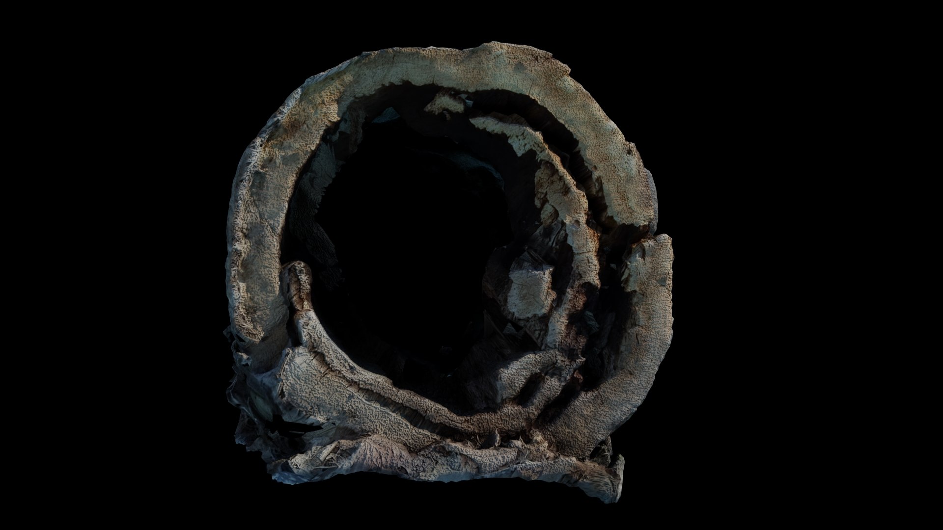 Fallen Rotting Log 3D - TurboSquid 1963597