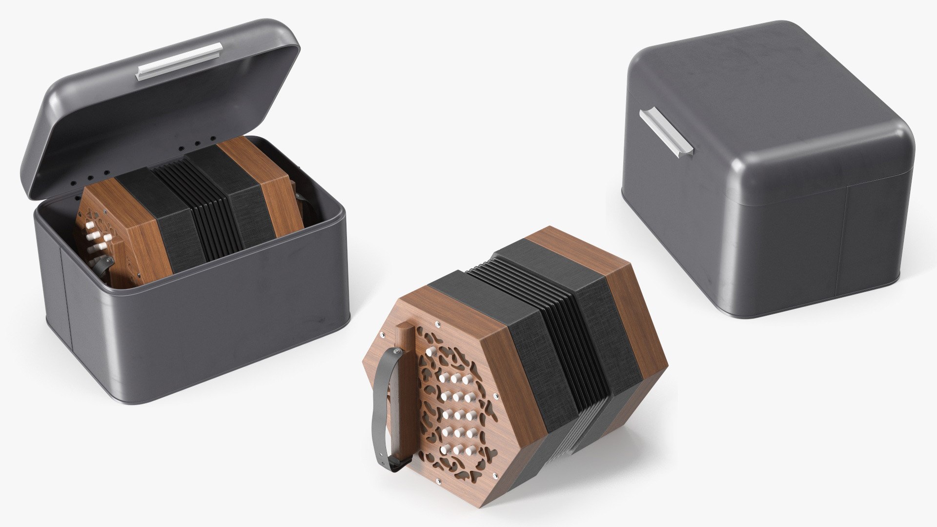 Concertina Accordion In Case 3D Model - TurboSquid 2419420