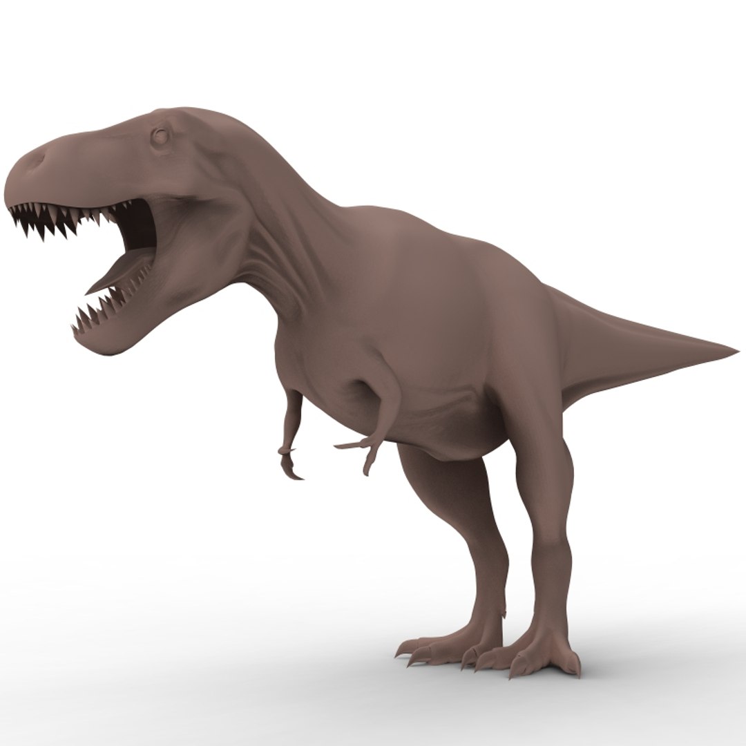 T-rex Skeleton Dinosaur Rex 3d Model