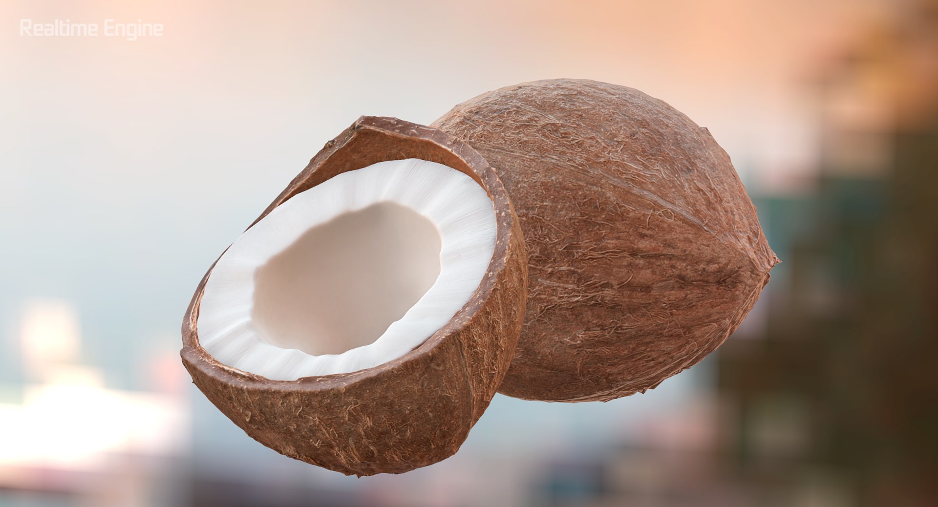 Coconuts Polys 3d Model