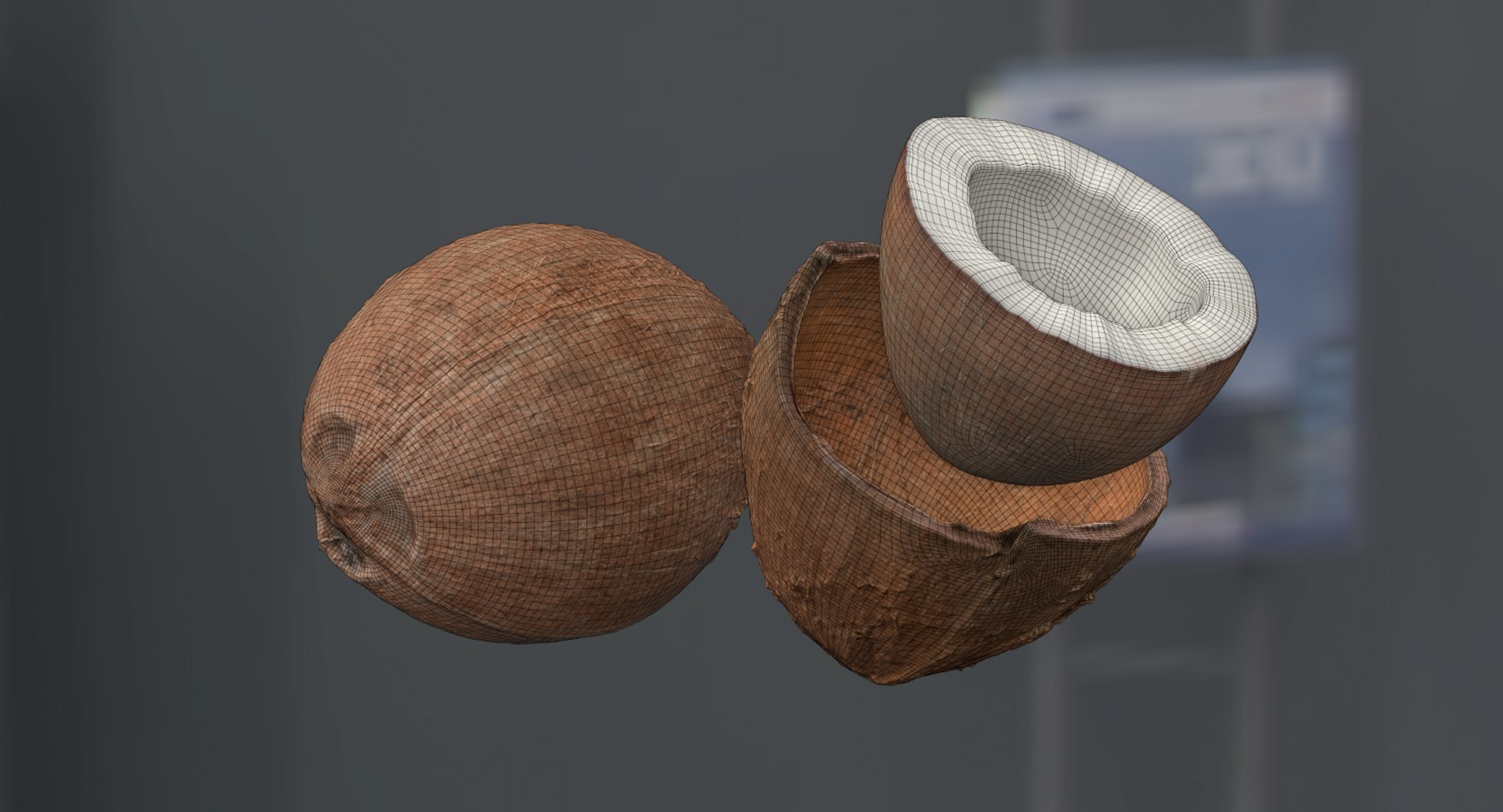 Coconuts Polys 3d Model