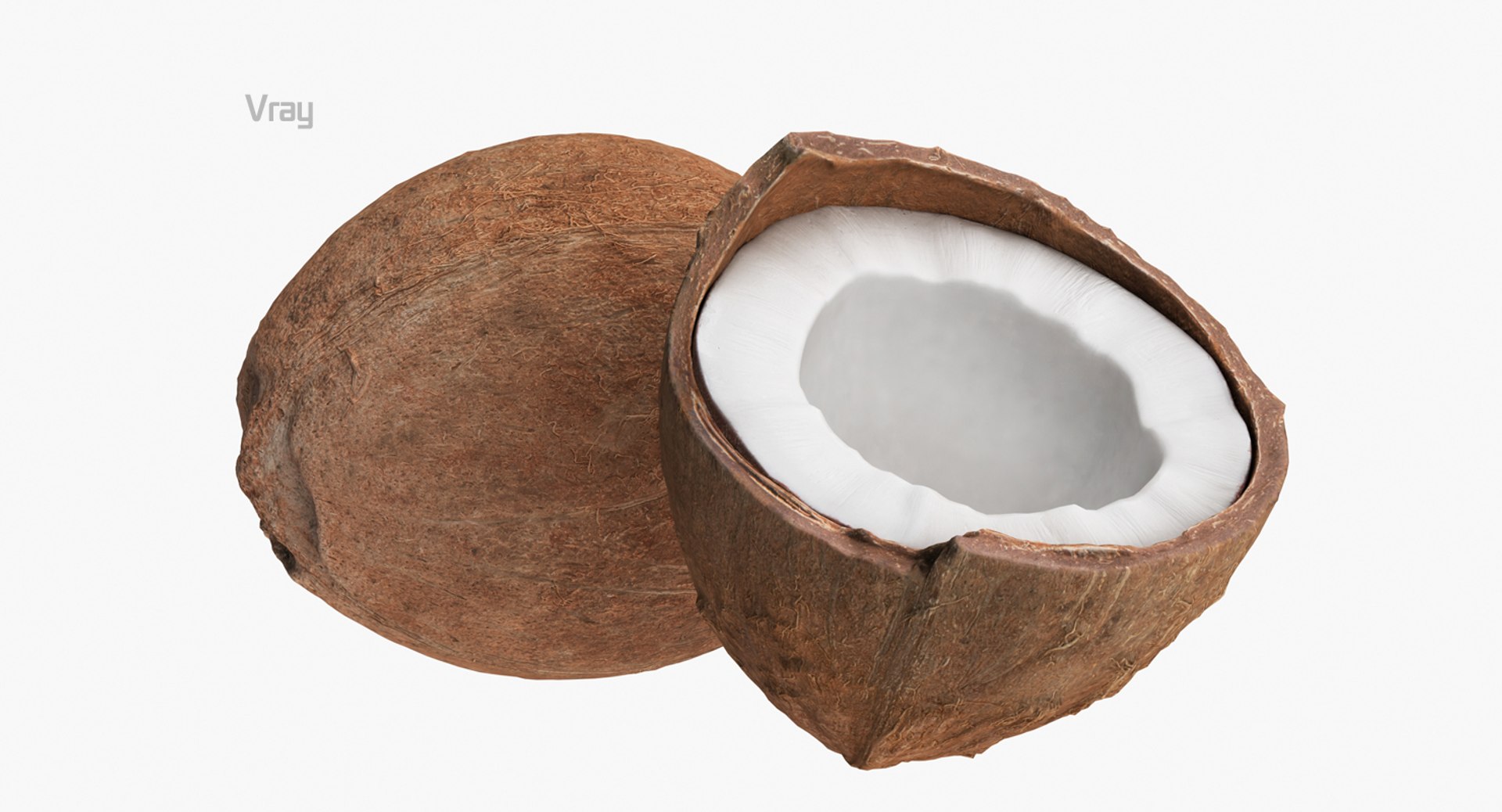 Coconuts Polys 3d Model
