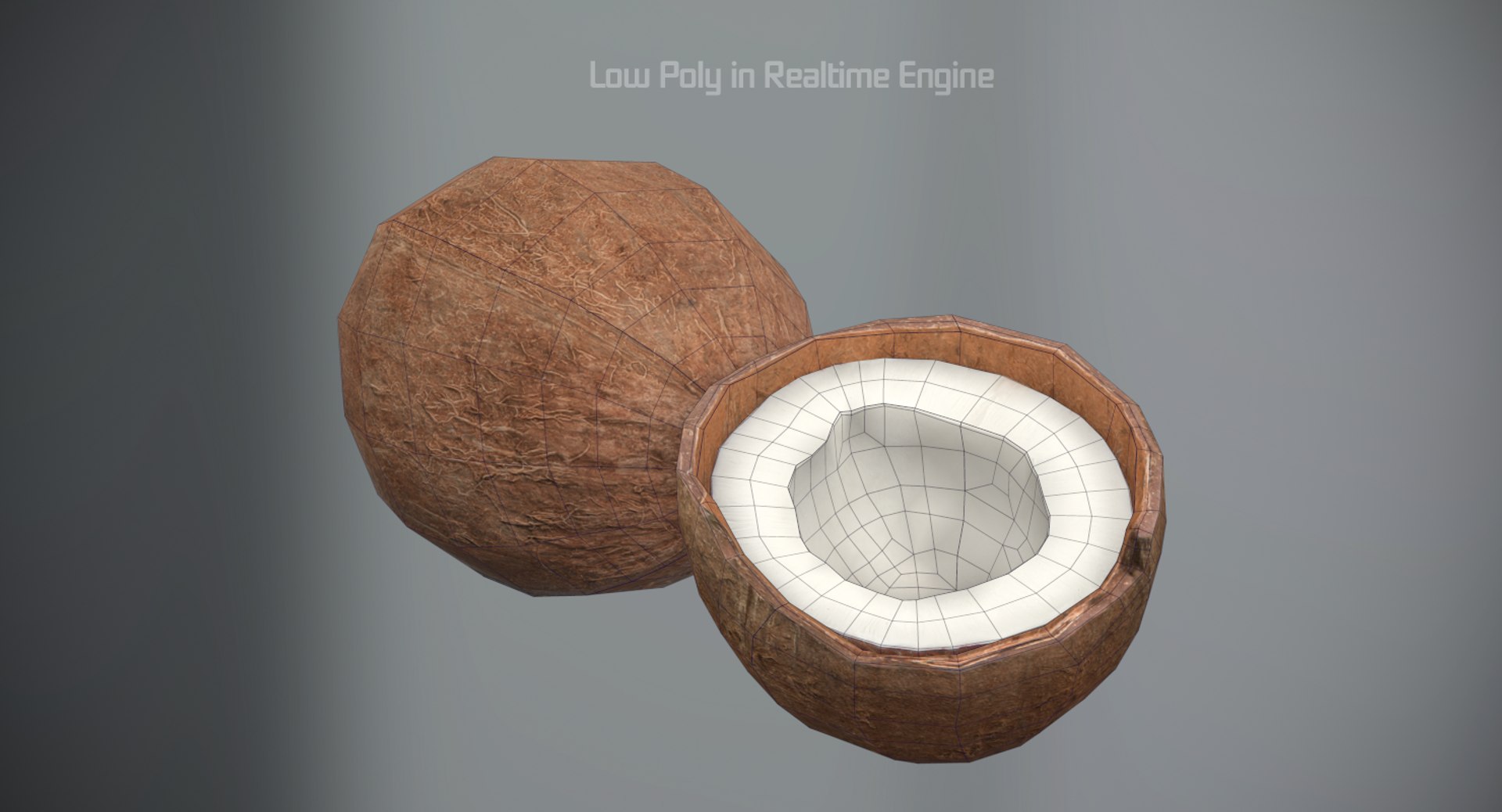 Coconuts Polys 3d Model