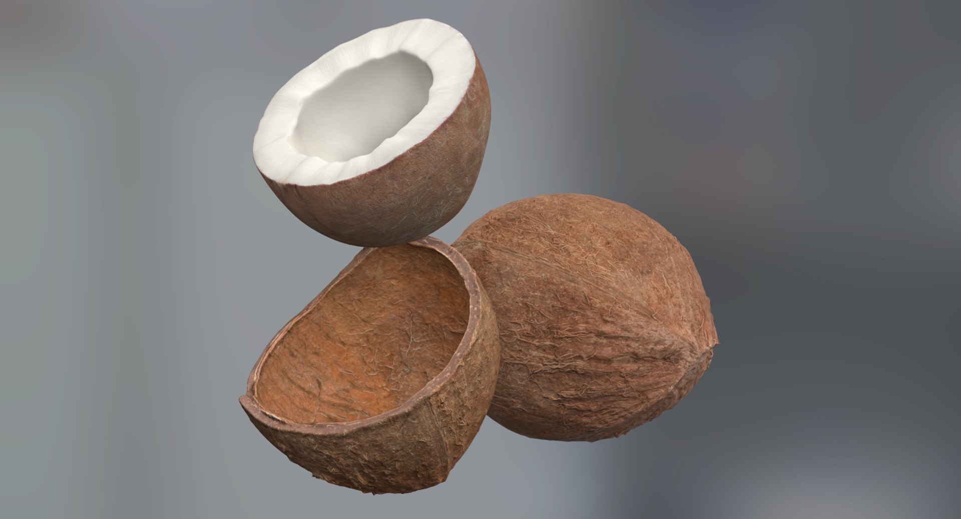 Coconuts Polys 3d Model