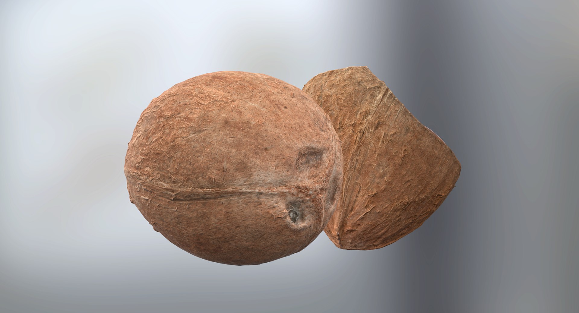 Coconuts Polys 3d Model