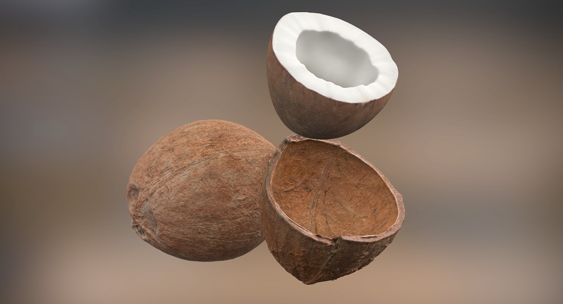 Coconuts Polys 3d Model
