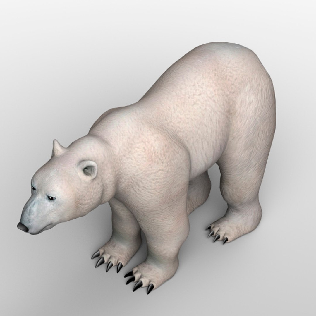 3d polar bear model