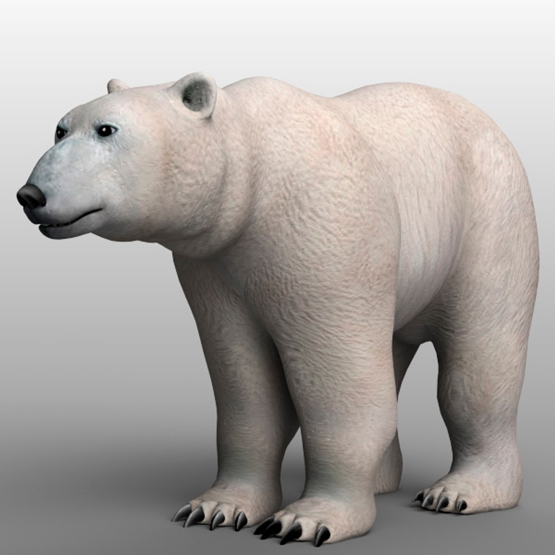 3d polar bear model