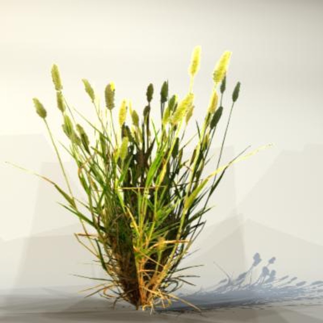 3d Pc Grass