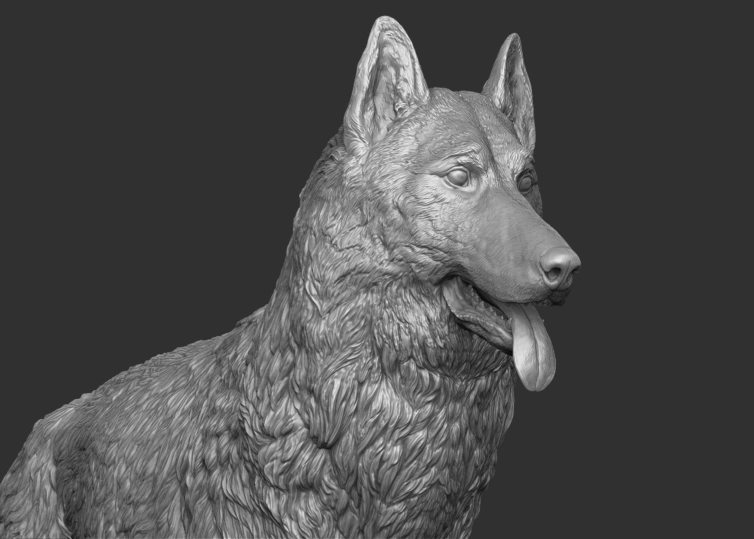 German shepherd realistic model - TurboSquid 1284699