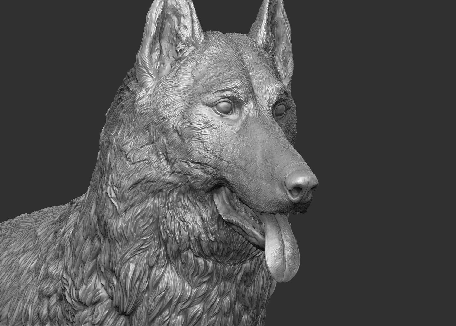 German shepherd realistic model - TurboSquid 1284699