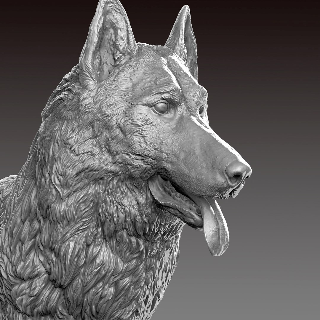 German shepherd realistic model - TurboSquid 1284699